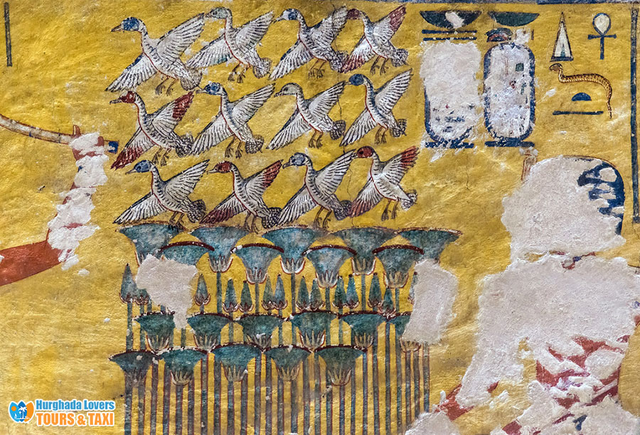 Ay Tomb Facts WV23 in Valley of The Kings Luxor ancient Egypt.