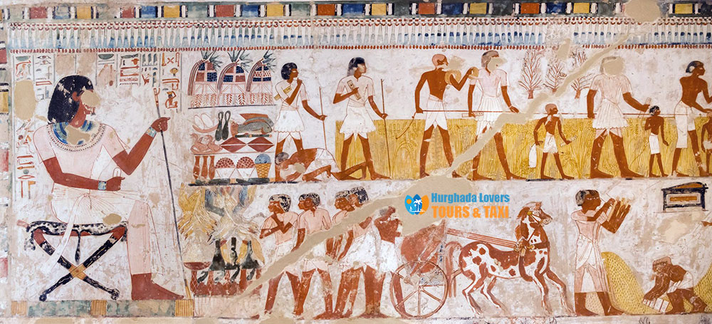 Menna Tomb TT69 | Pharaonic Tombs in The Theban Necropolis Luxor