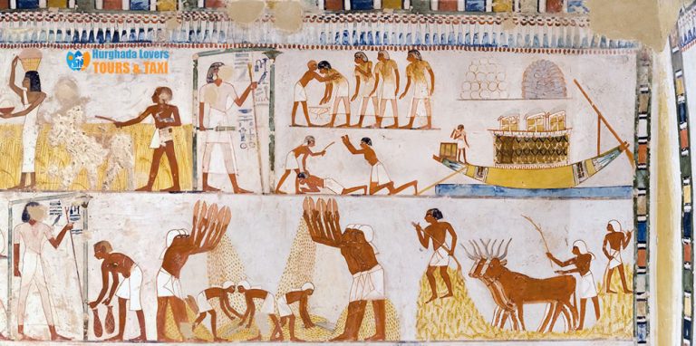 Menna Tomb TT69 | Pharaonic Tombs in The Theban Necropolis Luxor