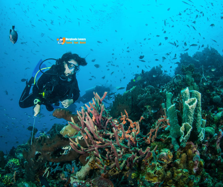Atrakcje w Hurghadzie Egipt po południu, noc, życie nocne dla rodzin