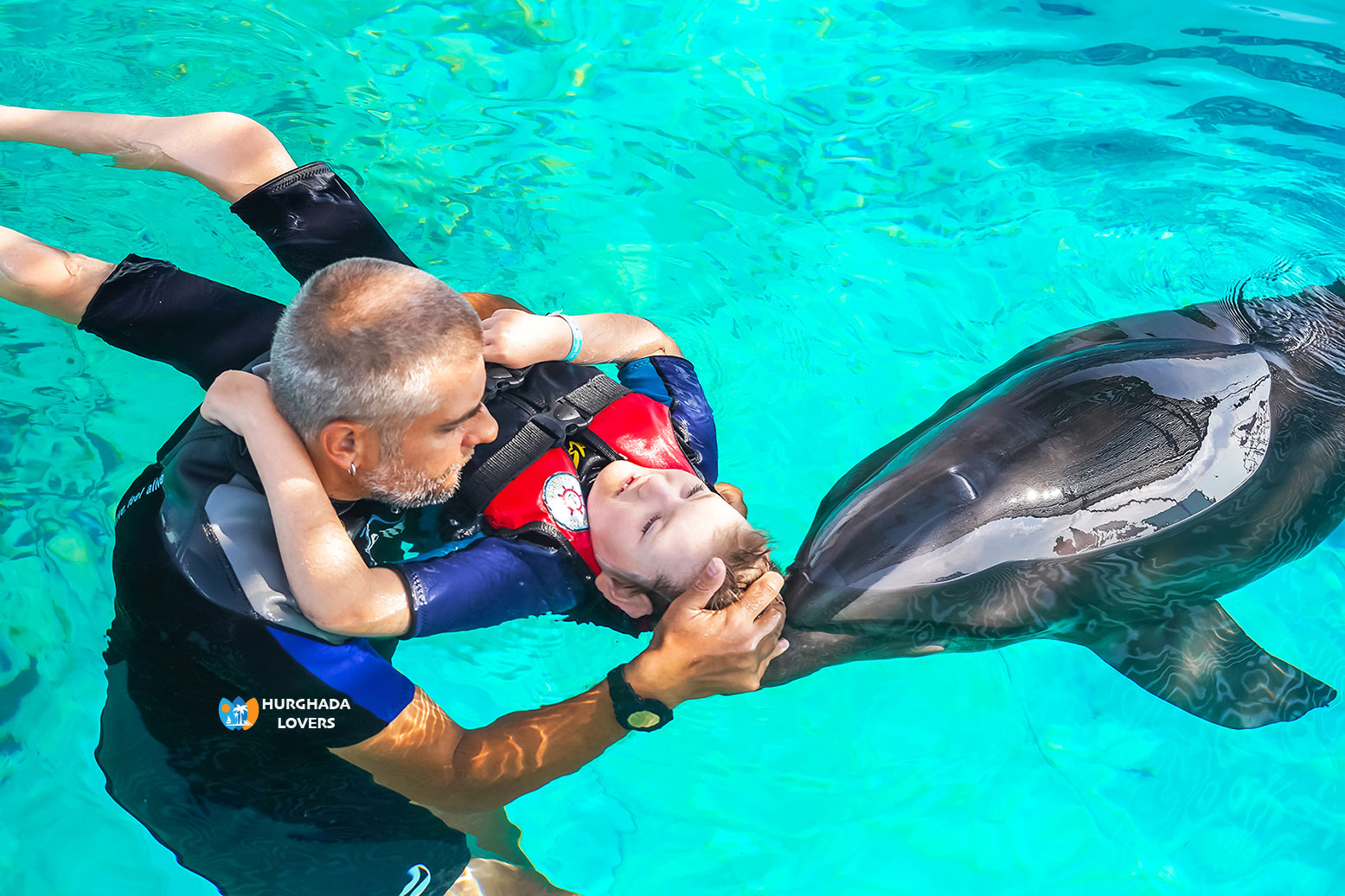Swim with Dolphins Tour from Hurghada in Pool | Fun Activities