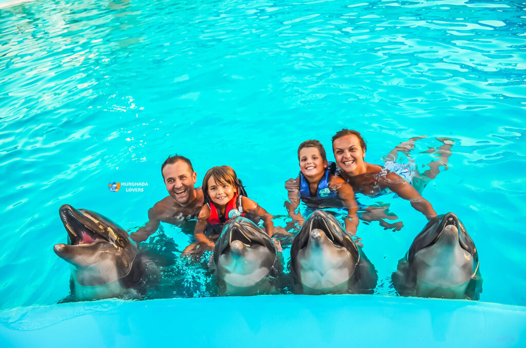 Swim with Dolphins Tour from Hurghada in Pool | Fun Activities