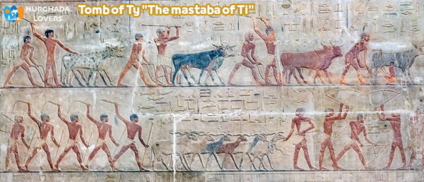 Tomb of Ty "The mastaba of Ti" in Saqqara, Giza Egypt