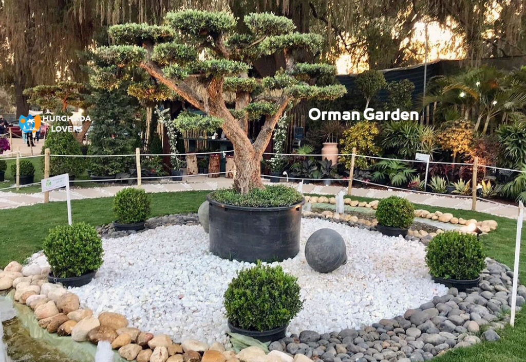 Orman Garden in Giza, Egypt | Best Activities for Children Families