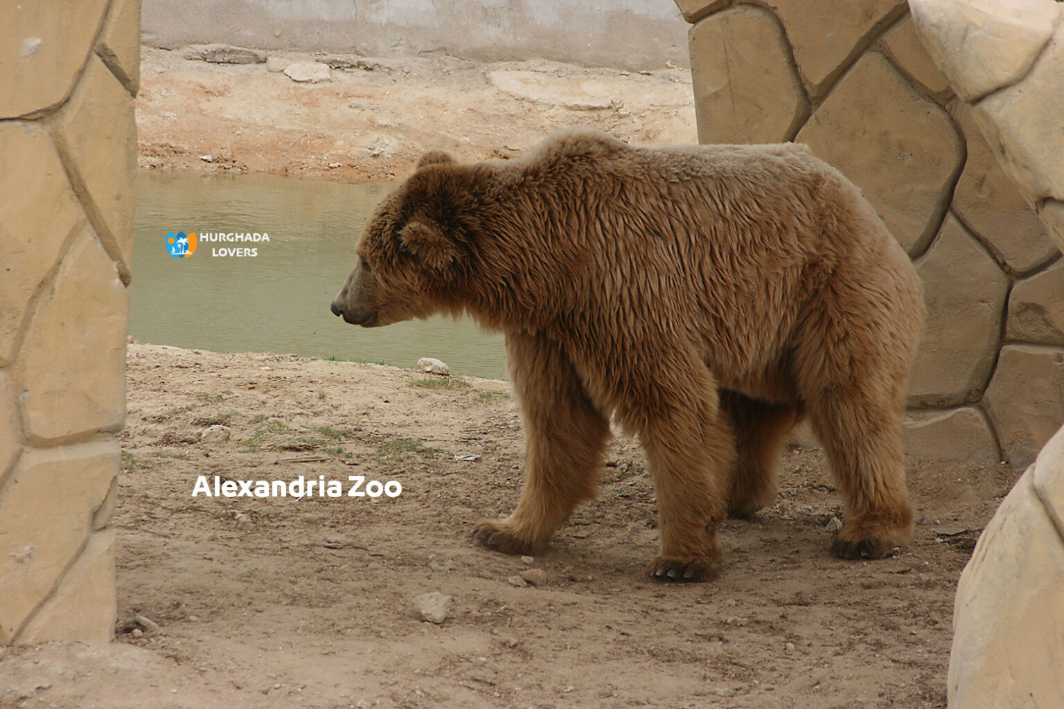 Alexandria Zoo Egypt | Facts Nozha Zoo from Entrance Fees Price