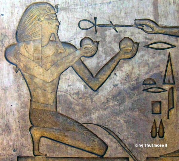 King Thutmose II - Egyptian Pharaohs kings - 18th Dynasty