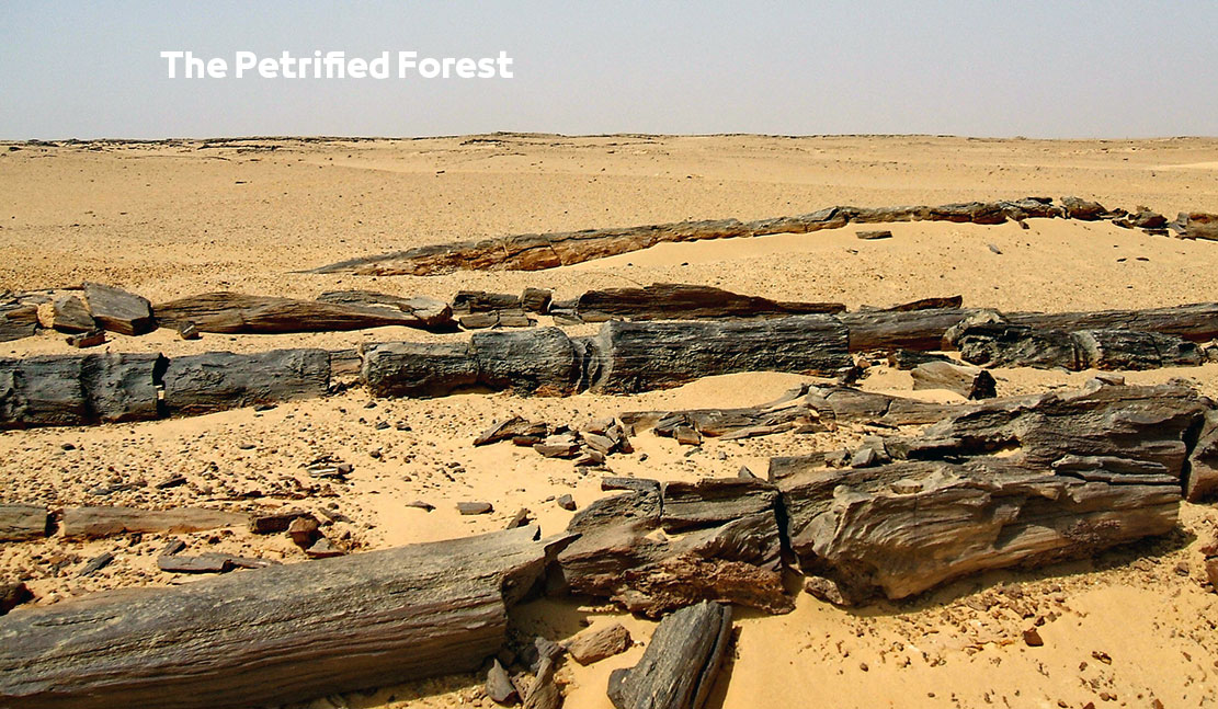 The Petrified Forest in Fayum Egypt | Best Activities and Places